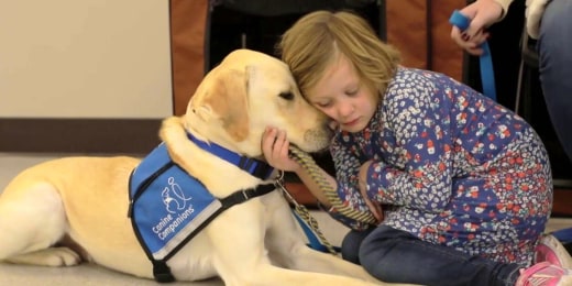 Meet the 7-year-old helping hundreds of rescue dogs find homes