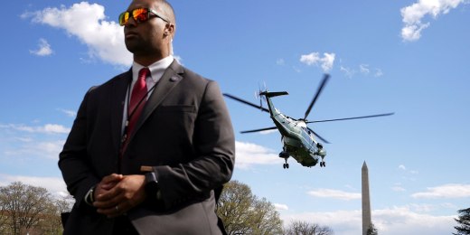 Alarming video shows man petting a bison at Yellowstone