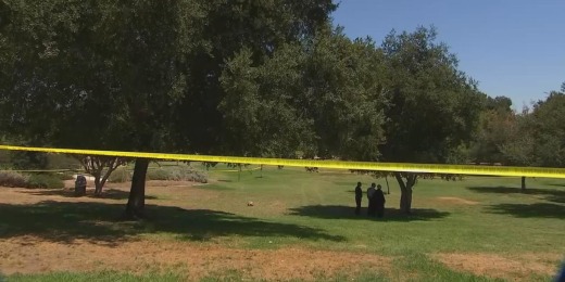 Pickleball: The Fastest-Growing Sport in America