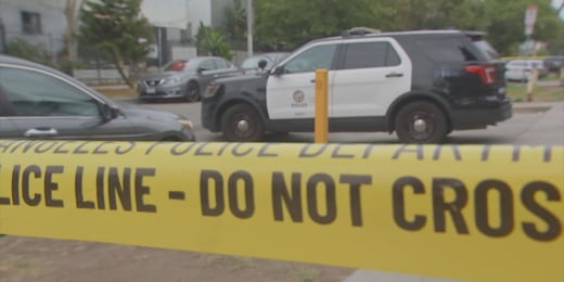 Escaped python kills two boys during slumber party