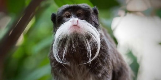 3 Americans among new cardinals welcomed by Pope Francis