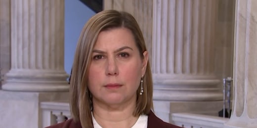 Nicolle Wallace reacts to judge blocking Trump's birthright order: 'A stinging rebuke'