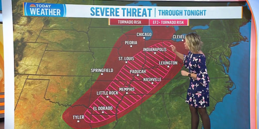 Denver Zoo Welcomes Baby Giraffe: Help Choose His Name!