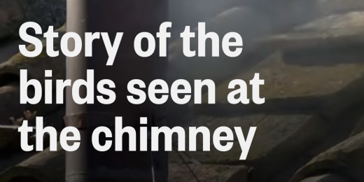 Meet the papal contender, known as the 'Asian Pope Francis'