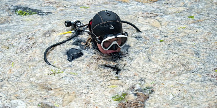 EXCLUSIVE PREVIEW: Weldon McDavid Speaks Out on Relationship with Diana ...