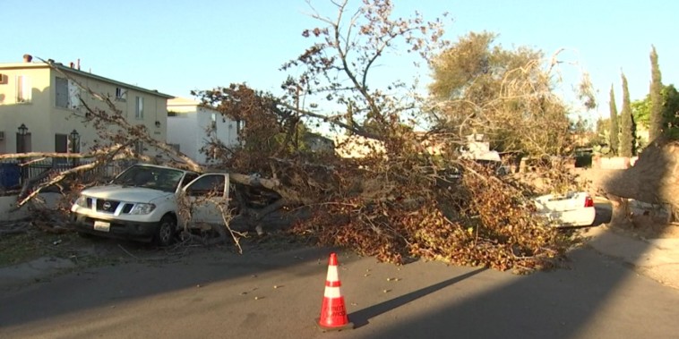 Pakistan's Female Commandos Train For War