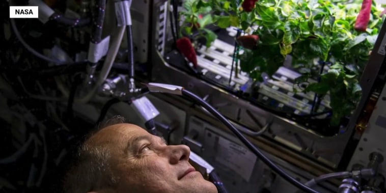 How The Oklahoma Innocence Project helped Malcolm Scott