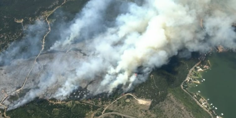 Missing Mickey, Part 6