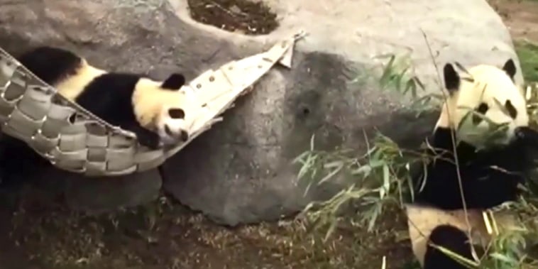 Morning Boost | TODAY