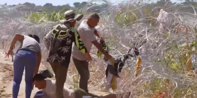 Remembering Ashley Fallis