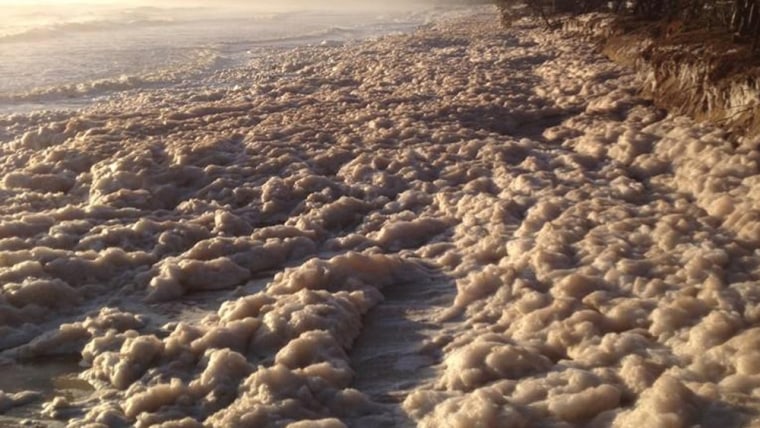 Frothy foam transforms Australia beaches