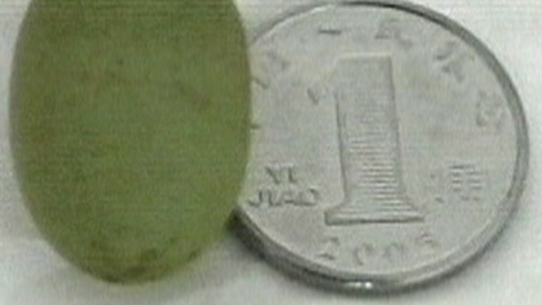 world's smallest egg