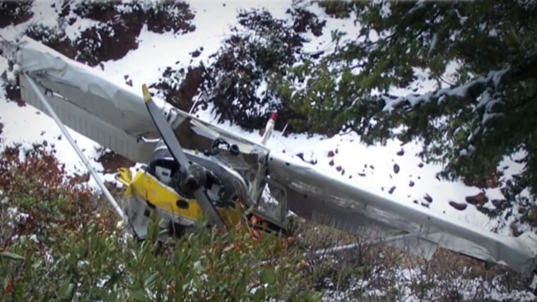 Stranded family rescued from plane crash