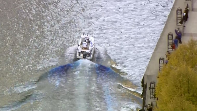 Chicago River Dyed Blue In Honor of Cubs