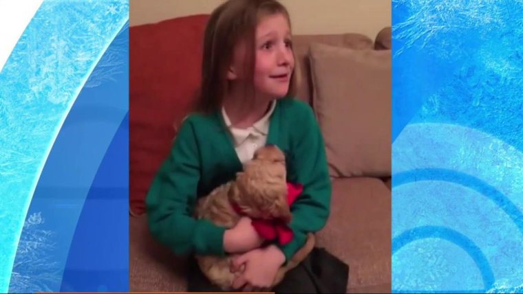 See this girl’s amazing reaction as her stuffed animal transforms into ...