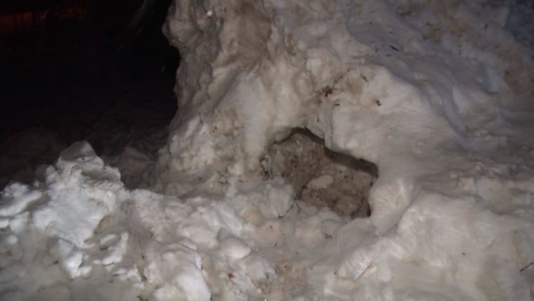 Boys Buried In City Snow Pile, 1 Dead