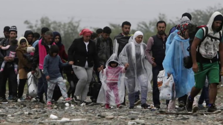 Backlash against migrants after Paris attack