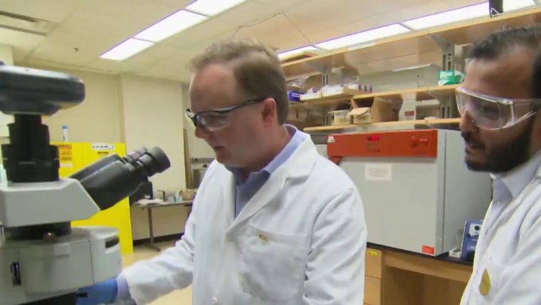 Scientists scramble to create replacements for plastic