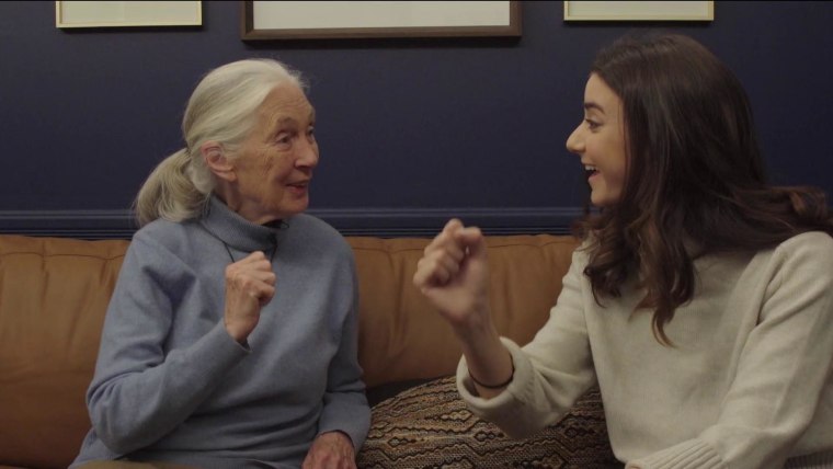 Jane Goodall is very concerned about environmental protection laws