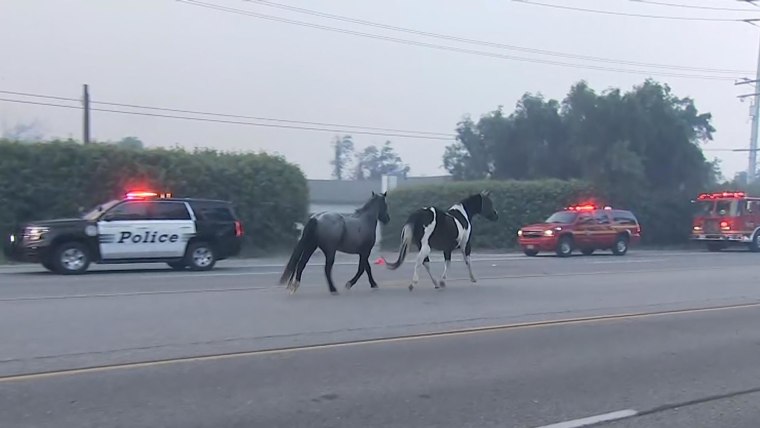 Wildfire north of Los Angeles forces evacuation of Reagan Library ...