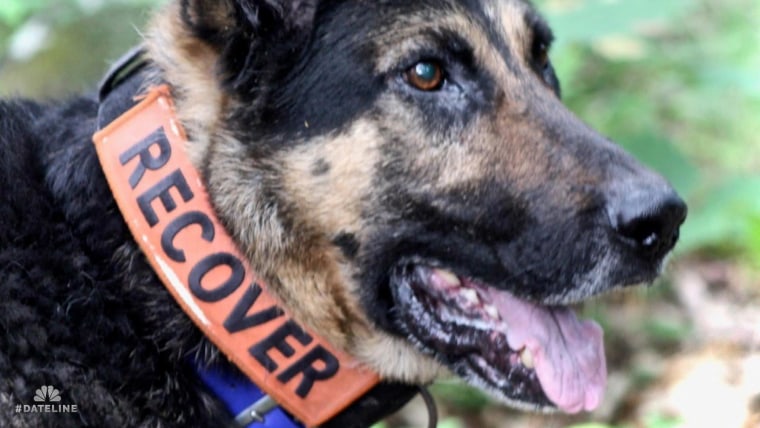 Behind the Search for Jake Millison