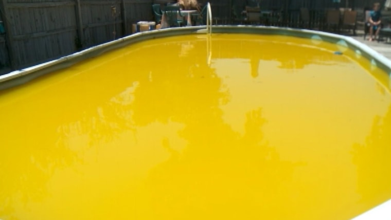 Vandals dump yellow dye in family swimming pool