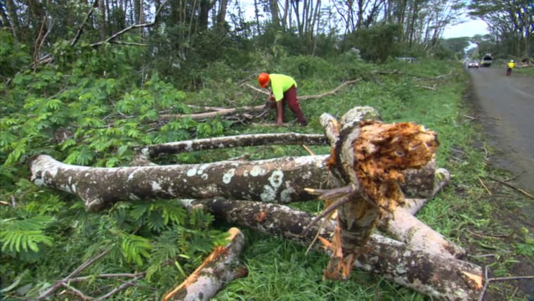Hawaiians Buck Iselle, Hurricane Julio to Go to the Polls