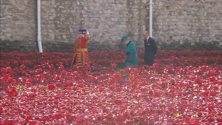 Queen Walks Through a Sea of Poppies