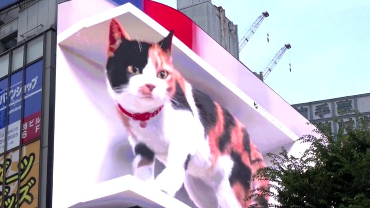 Giant digital cat is ‘mesmerizing’ crowds in Tokyo