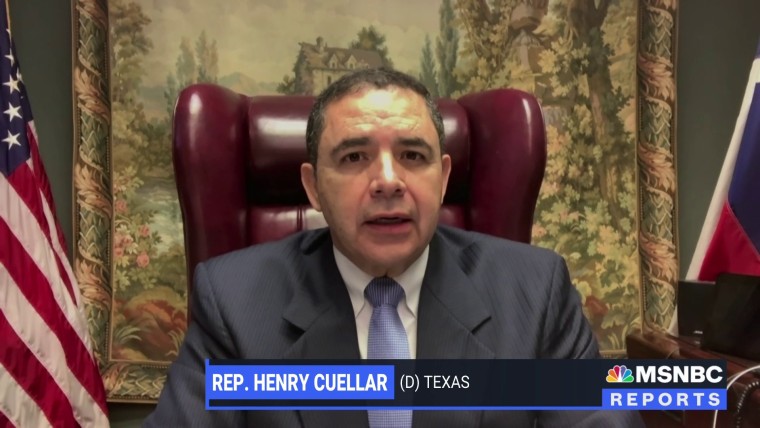 Rep. Cuellar, D-Tx, on immigration reform, trade, international supply ...
