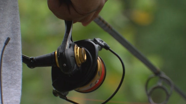 Child stabbed in chest by catfish stinger, flown to Florida hospital as ...