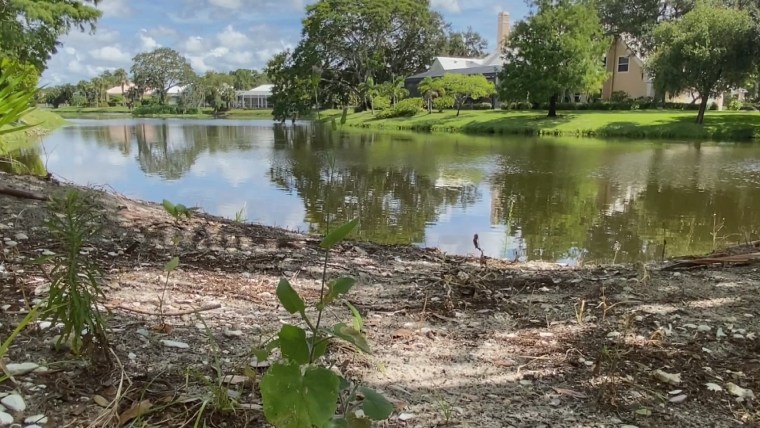 Woman, 80, dies after falling into Florida pond, ‘grabbed’ by two ...