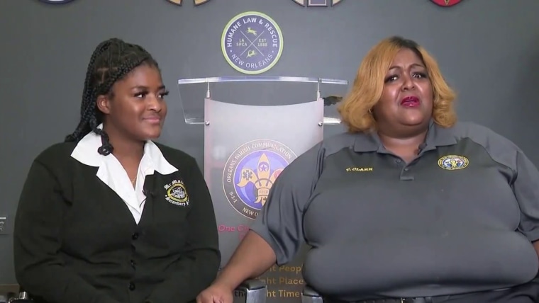 Mother answers daughter's 911 call during armed robbery