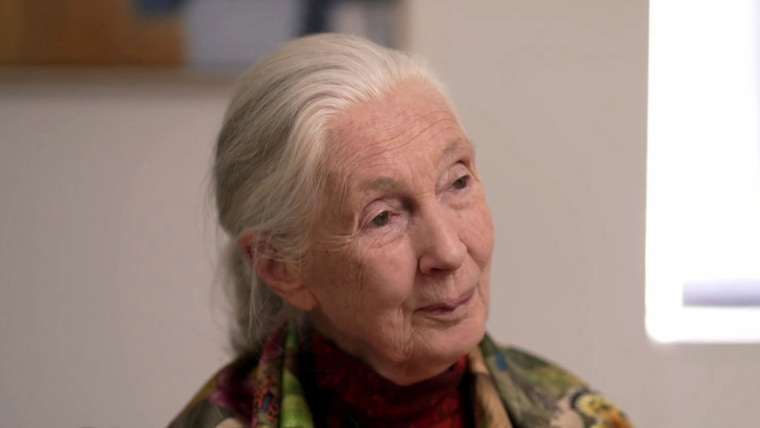 Dr. Jane Goodall reflects on her legendary career, hope for future