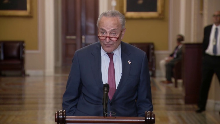 Schumer discusses proposed framework to regulate AI