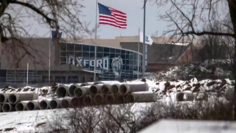 Ethan Crumbley, Oxford school shooter, was a 'feral child' who was ...