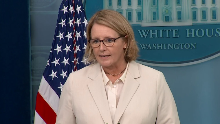 FEMA administrator gives update on Hawaii wildfires response at White ...