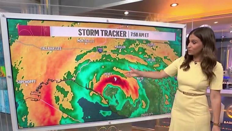 Idalia makes landfall as Category 3 hurricane at Florida's Big Bend