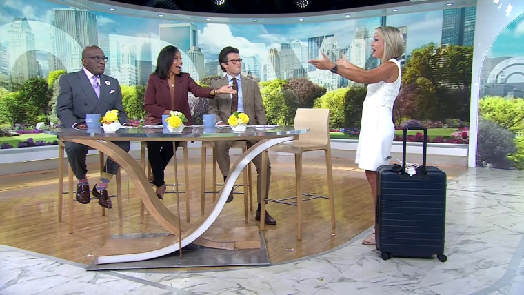 Dylan Dreyer finally gets her luggage back after Italian vacation