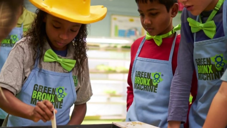 National STEM challenge encourages science innovation among kids