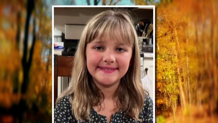 New York State Police activate Amber Alert for 9-year-old girl who went missing during camping trip