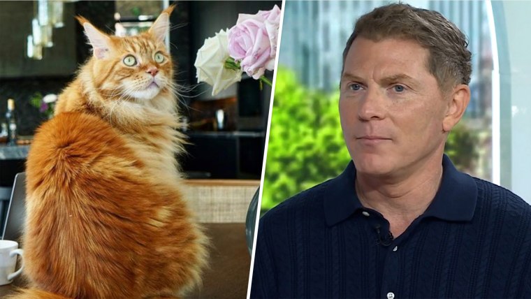 Bobby Flay talks about his cat Nacho: 'I love him so much'