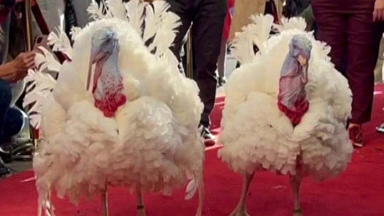 Biden to pardon 2 turkeys in annual ceremony