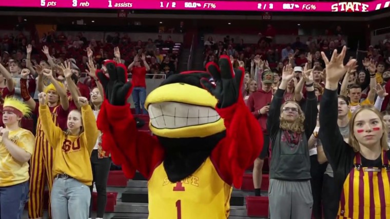 What it takes to be a college mascot