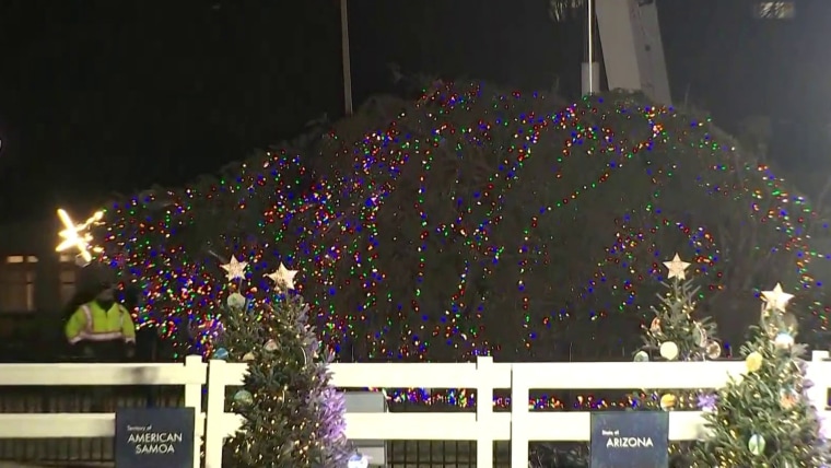 Strong winds topple National Christmas Tree outside White House