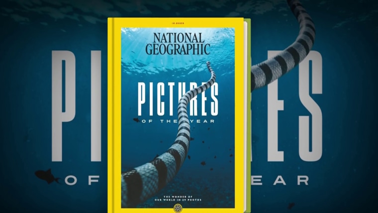 How National Geographic selects the ‘pictures of the year’