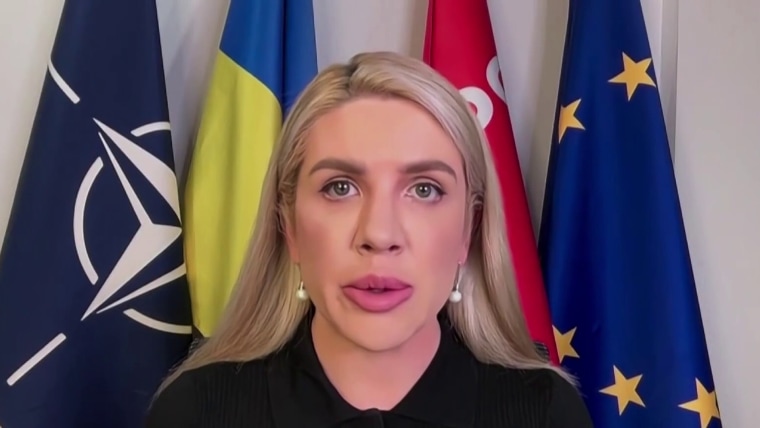 U.S. aid to Ukraine being stalled by domestic politics is ‘disturbing ...