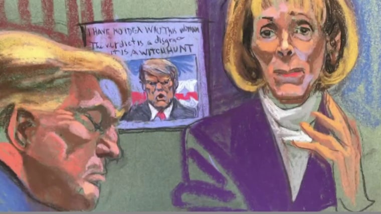 Lisa Rubin: Trump and his team 'believe they are above the law'