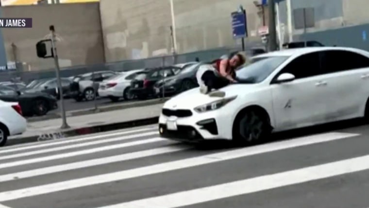 Video shows woman clinging to hood of alleged dognappers' car in L.A.