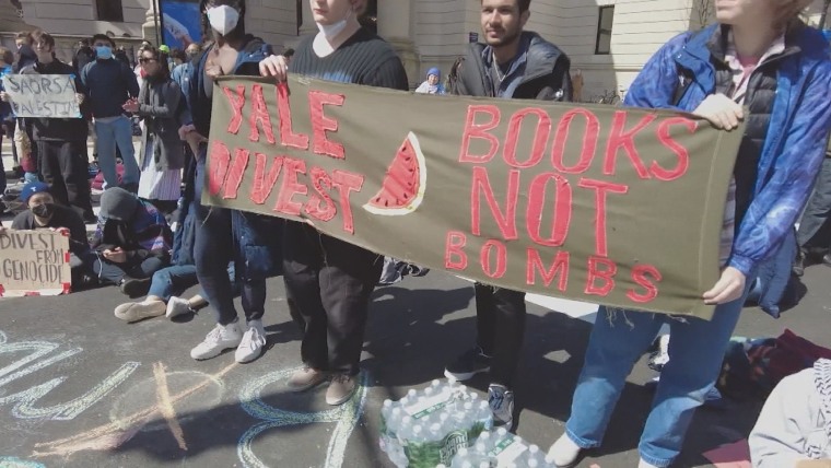 Dozens arrested at Yale University pro-Palestinian protest